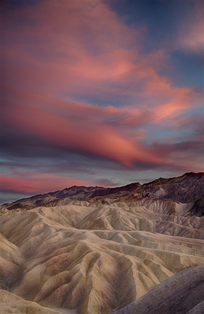 color – Joan Biordi Photo